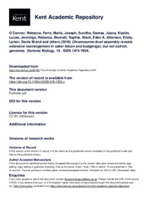 Chromosome-level assembly reveals extensive rearrangement in saker ...